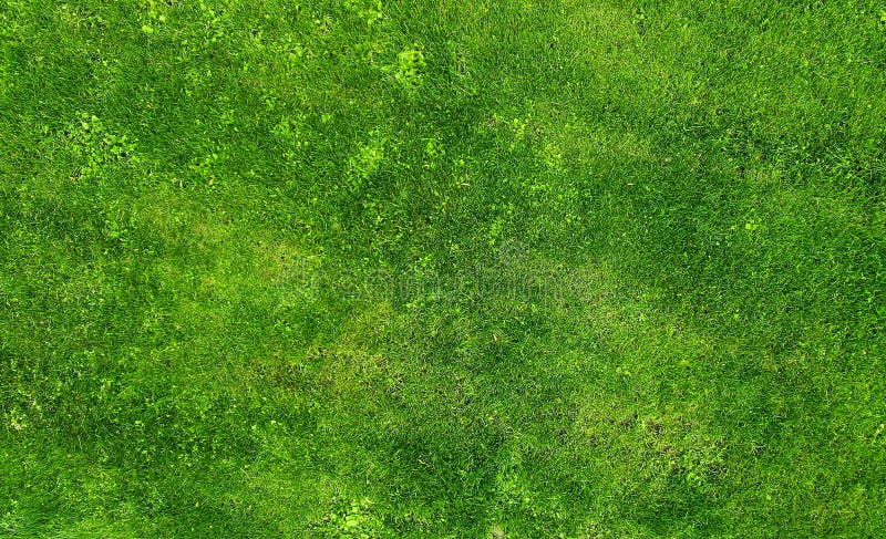 Aerial. Green Grass Texture Background. Stock Image - Image of backdrop ...