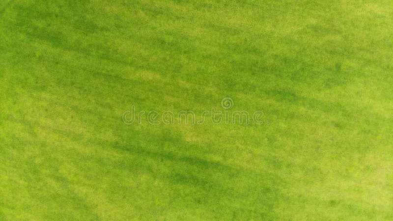 17,163 Aerial Grass Texture Stock Photos - Free & Royalty-Free Stock ...