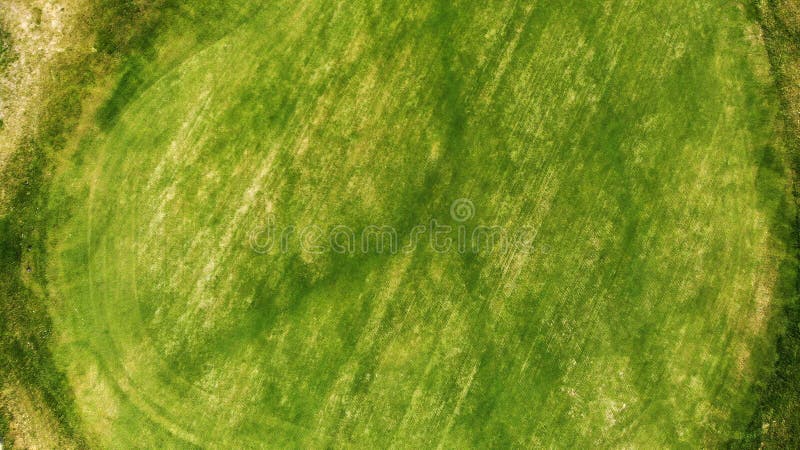 Aerial. Green Grass Texture Background Stock Image - Image of field ...