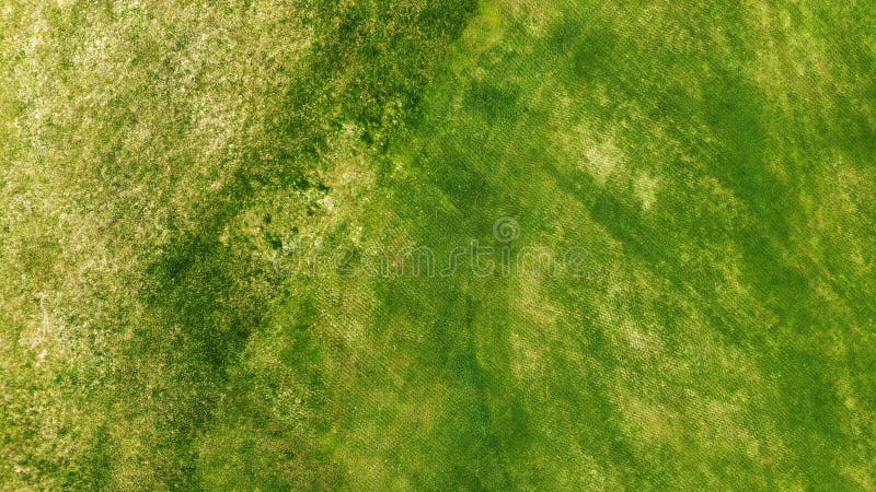 Aerial. Green Grass Texture Background Stock Photo - Image of empty ...
