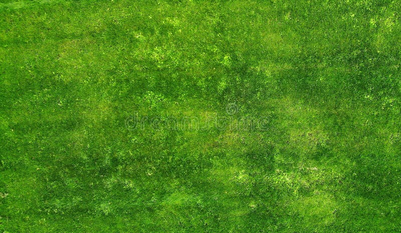 Aerial Grass Texture stock photo. Image of ground, above - 73493700
