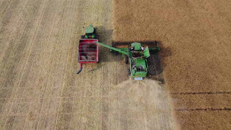 Aerial Harvester Unloading Grain into a Hopper Pulled by a Tractor on a ...