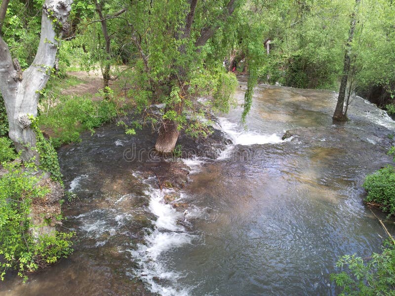 Aerial High Angle Shot of a Water Stream in a Forest Under the Sunlight ...