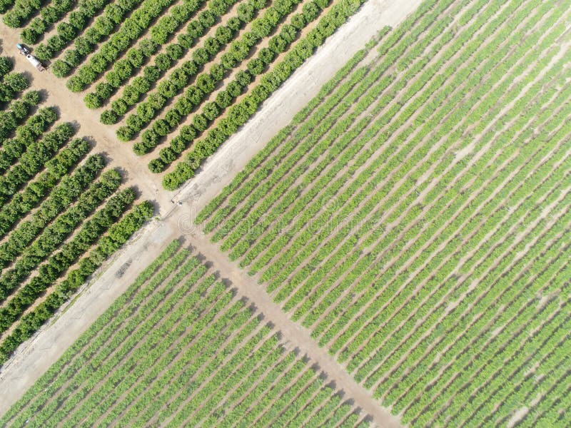 Aerial Image of Agriculture Field. Image Made with Drone. Stock Image ...
