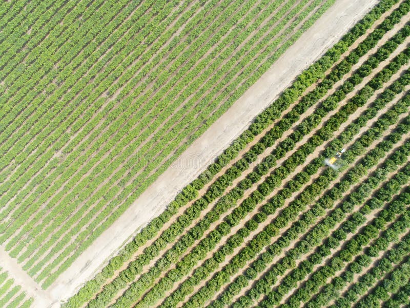 Aerial Image of Agriculture Field. Image Made with Drone. Stock Image ...