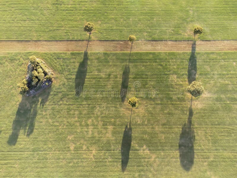 Aerial Image of a Cereal Crop Field with a Road Crossing it and ...