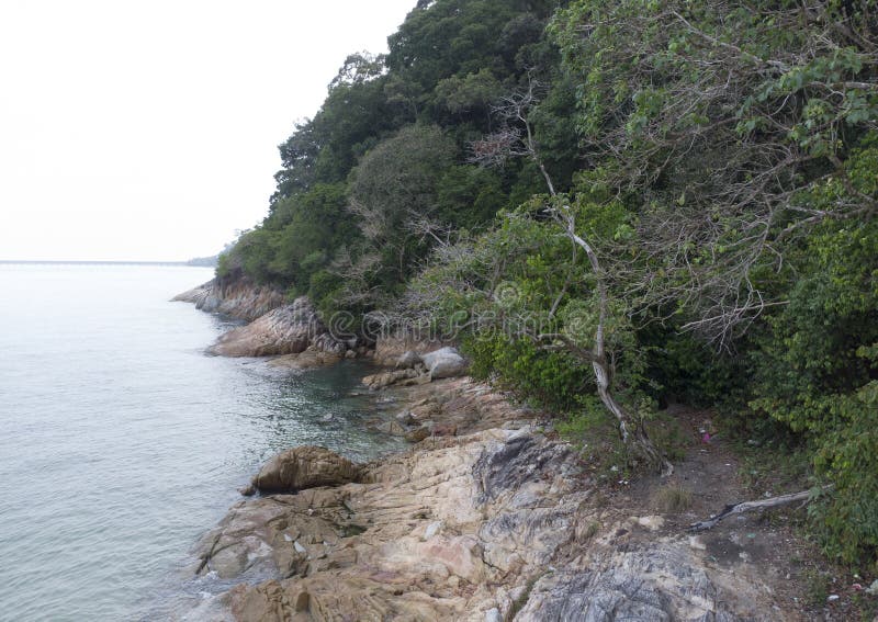 Aerial View Looking Down on the Shoreline. Stock Photo - Image of green ...