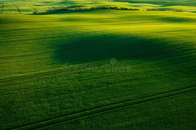 Aerial Landscape of the Green Fields in Northern Poland at Spring Time ...