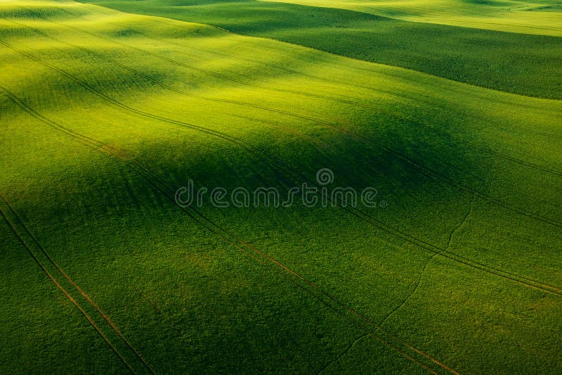 Aerial Landscape of the Green Fields in Northern Poland at Spring Time ...