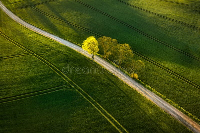 Aerial Landscape of the Green Fields in Northern Poland at Spring Time ...
