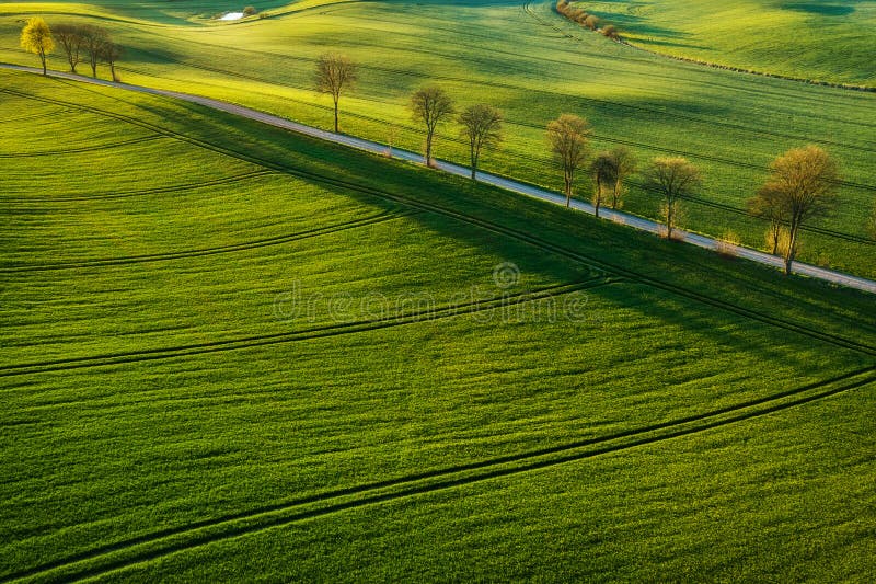 Aerial Landscape of the Green Fields in Northern Poland at Spring Time ...