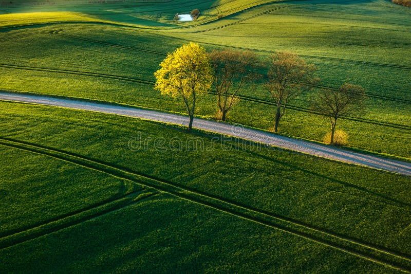 Aerial Landscape of the Green Fields in Northern Poland at Spring Time ...