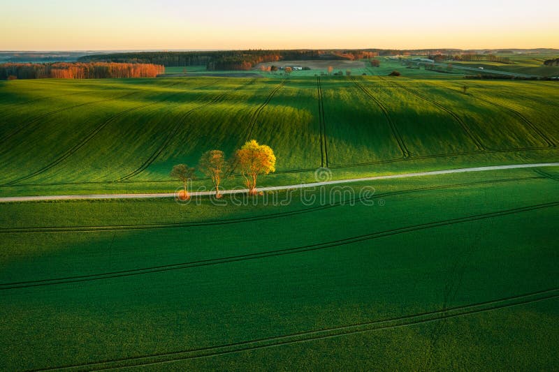 Aerial Landscape of the Green Fields in Northern Poland at Spring Time ...