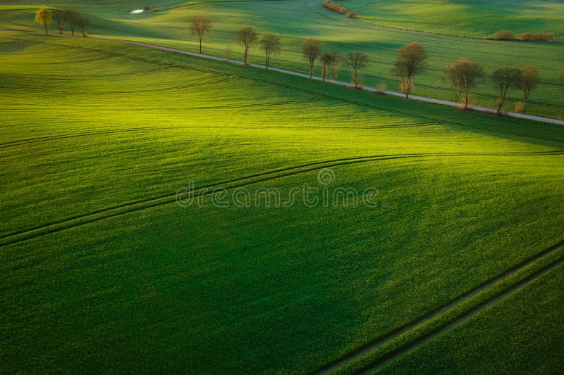 Aerial Landscape of the Green Fields in Northern Poland at Spring Time ...