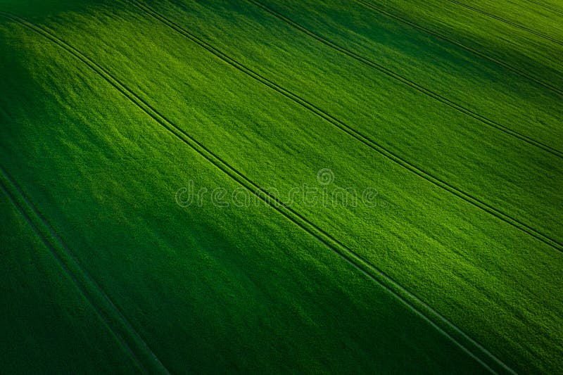 Aerial Landscape of the Green Fields in Northern Poland at Spring Time ...