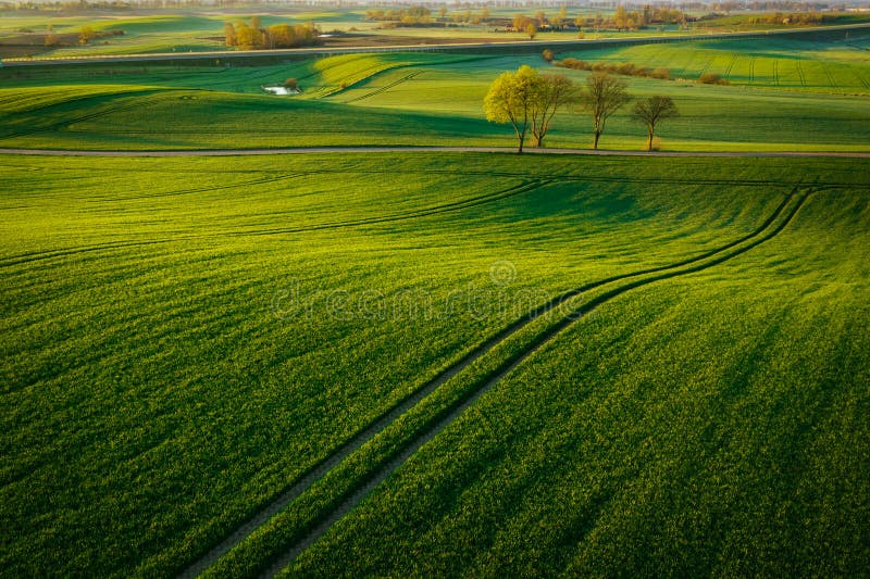 Aerial Landscape of the Green Fields in Northern Poland at Spring Time ...
