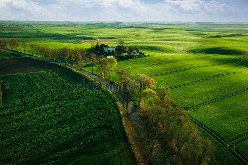 Aerial Landscape of the Green Fields in Northern Poland at Spring Time ...