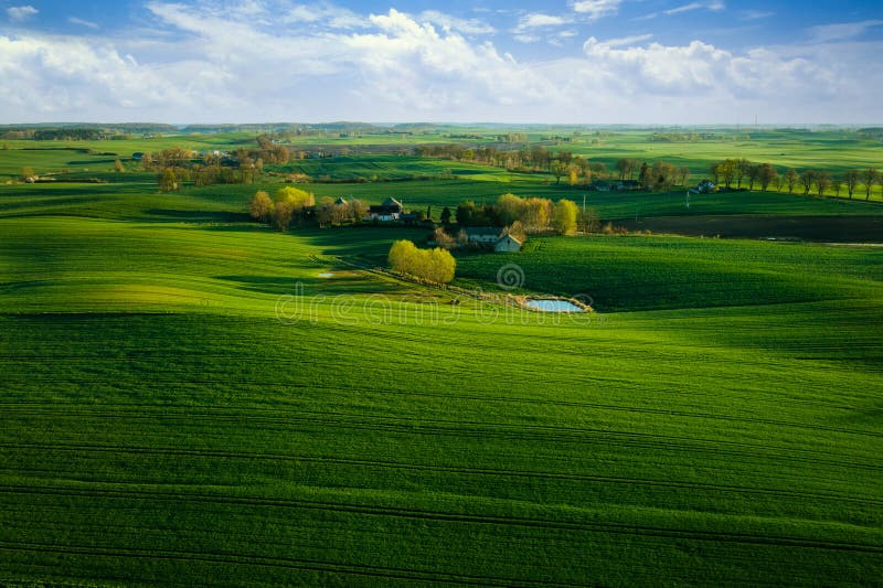 Aerial Landscape of the Green Fields in Northern Poland at Spring Time ...