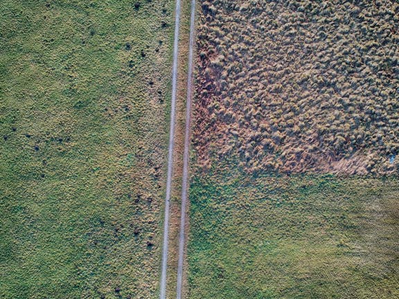 Aerial Landscape with Path and Field Stock Photo - Image of wild ...