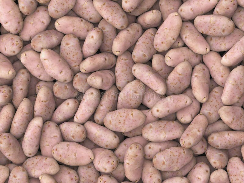 Aerial of Large Potato Pile Stock Illustration - Illustration of ...