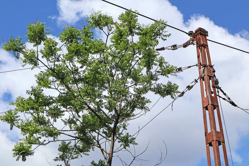 Aerial Lead Cables of the Trolley Car Stock Photo - Image of streetcar ...