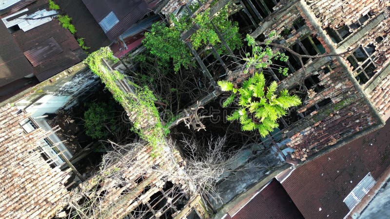 Aerial Old Roof Top Broken Building Stock Video - Video of architecture ...