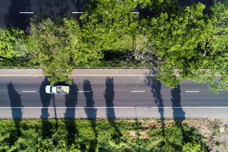 Aerial Look Down View of Road Path through the Tree Stock Photo - Image ...