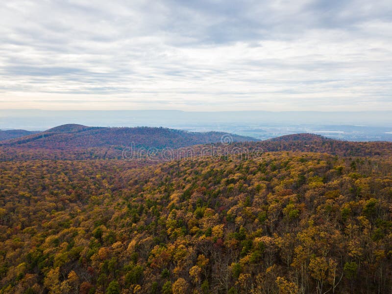 Aerial of Michaux State Forest in Pennsylvania during Fall in Th Stock ...