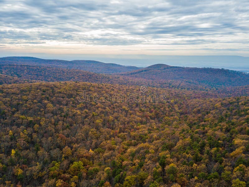 Aerial of Michaux State Forest in Pennsylvania during Fall in Th Stock ...