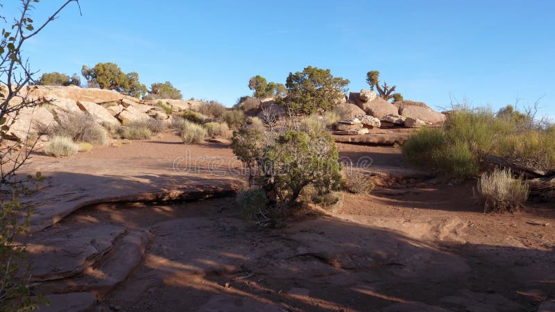 Aerial Camera Movement in Arid Sandy Red Stone Desert with Shrubs and ...