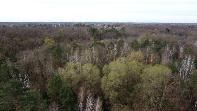 Aerial Natural View of a Forest Extinction Stock Image - Image of ...