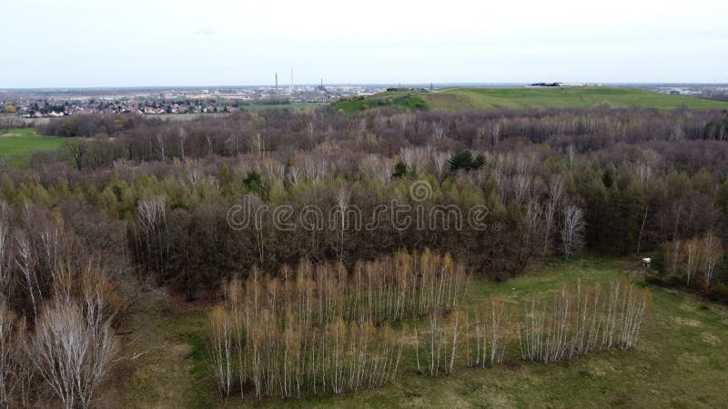 Aerial Natural View of a Forest Extinction Stock Photo - Image of ...