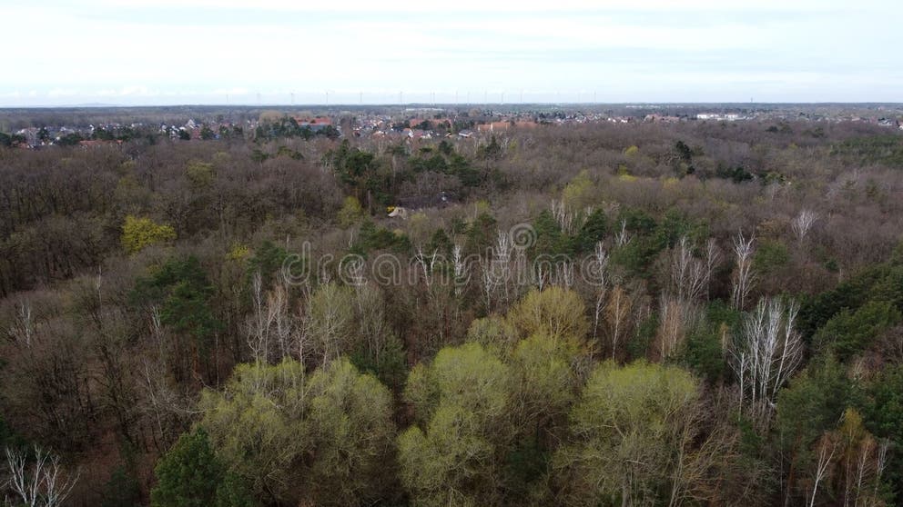 Aerial Natural View of a Forest Extinction Stock Image - Image of ...