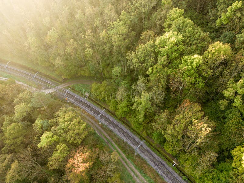 Overhead View of a Forest with a Train Track Rail Stock Image - Image ...