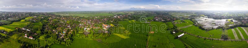 Aerial Panorama of the Green Rice Fields Stock Image - Image of outdoor ...
