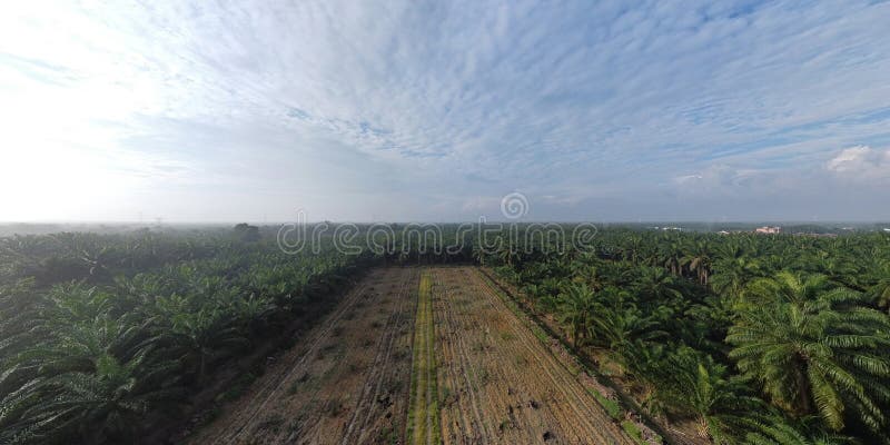 Aerial Panoramic View of a the Vacant Plot of Agriculture Land. Stock ...