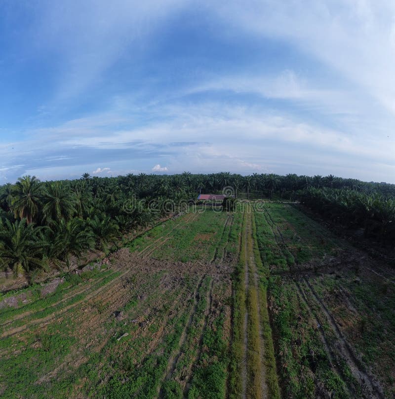 Aerial Panoramic View of a the Vacant Plot of Agriculture Land. Stock ...