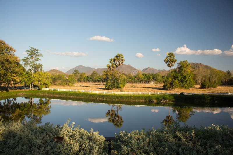 Aerial Panoramic View on Greenfield and Meadows of Thailand Stock Photo ...