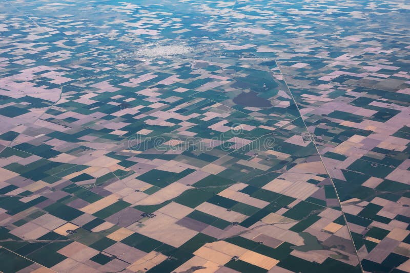Square Fields in Citadel Park Full of Tiny Colorful Flowers Stock Image ...