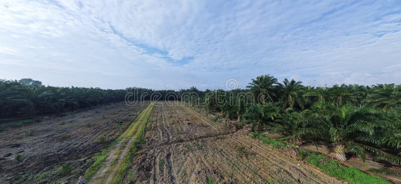 Aerial Panoramic View of a the Vacant Plot of Agriculture Land. Stock ...