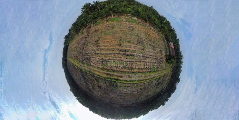 Aerial Panoramic View of a the Vacant Plot of Agriculture Land. Stock ...