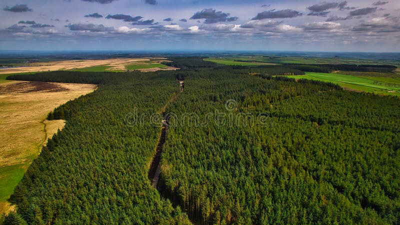 Aerial Path through Lush Forest in North Yorkshire Stock Image - Image ...