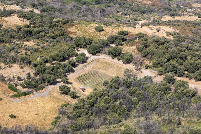 Aerial View of Farmland and Forested Area Stock Image - Image of view ...