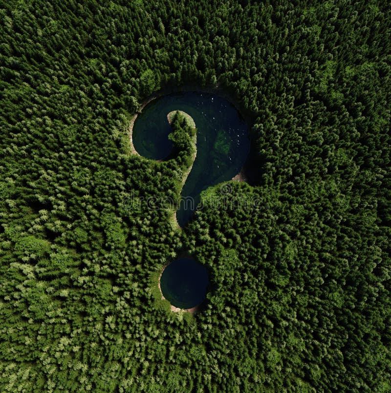 Unique Aerial View of a Forest with a Water Body Shaped Like a Question ...