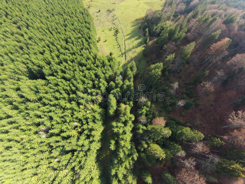 Aerial photo of forest stock image. Image of tree, landscape - 80754649