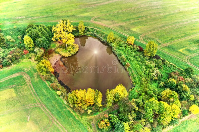 Aerial Photo of a Tiny Brown Pond, on the Surface of Which the Rays of ...