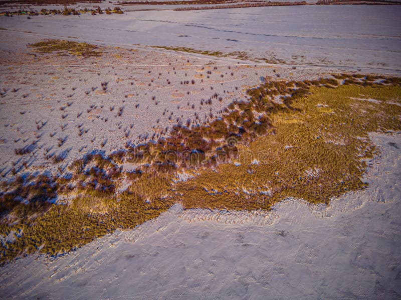 Aerial Photo of Wildlife in Spring Stock Photo - Image of coat, cove ...