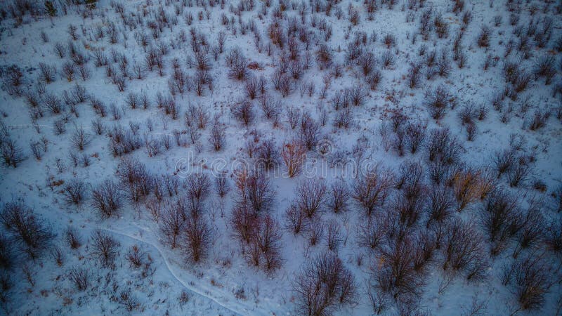 Aerial Photo of Wildlife in Spring Stock Image - Image of cove ...