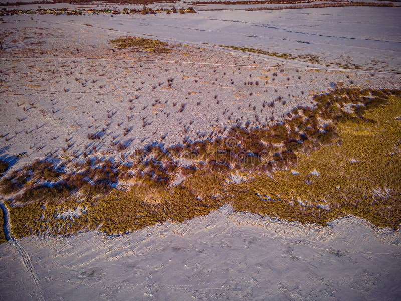 Aerial Photo of Wildlife in Spring Stock Image - Image of head ...