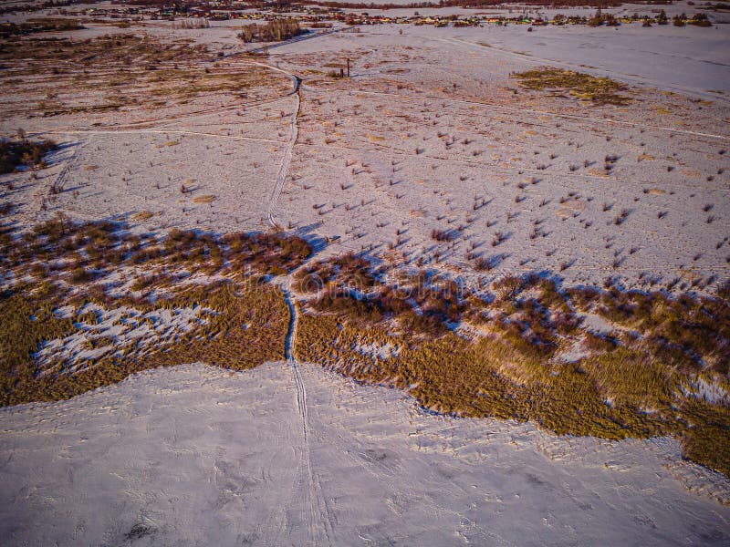 Aerial Photo of Wildlife in Spring Stock Photo - Image of head ...